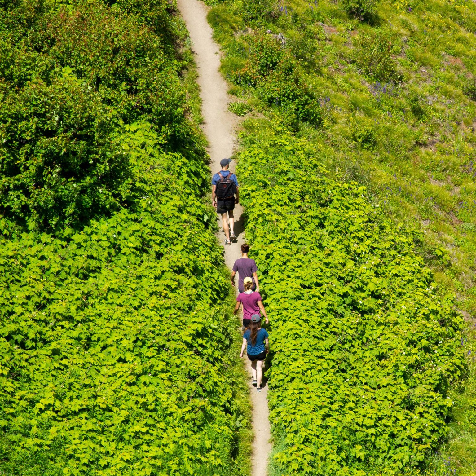 Things to Do | Bogus Basin