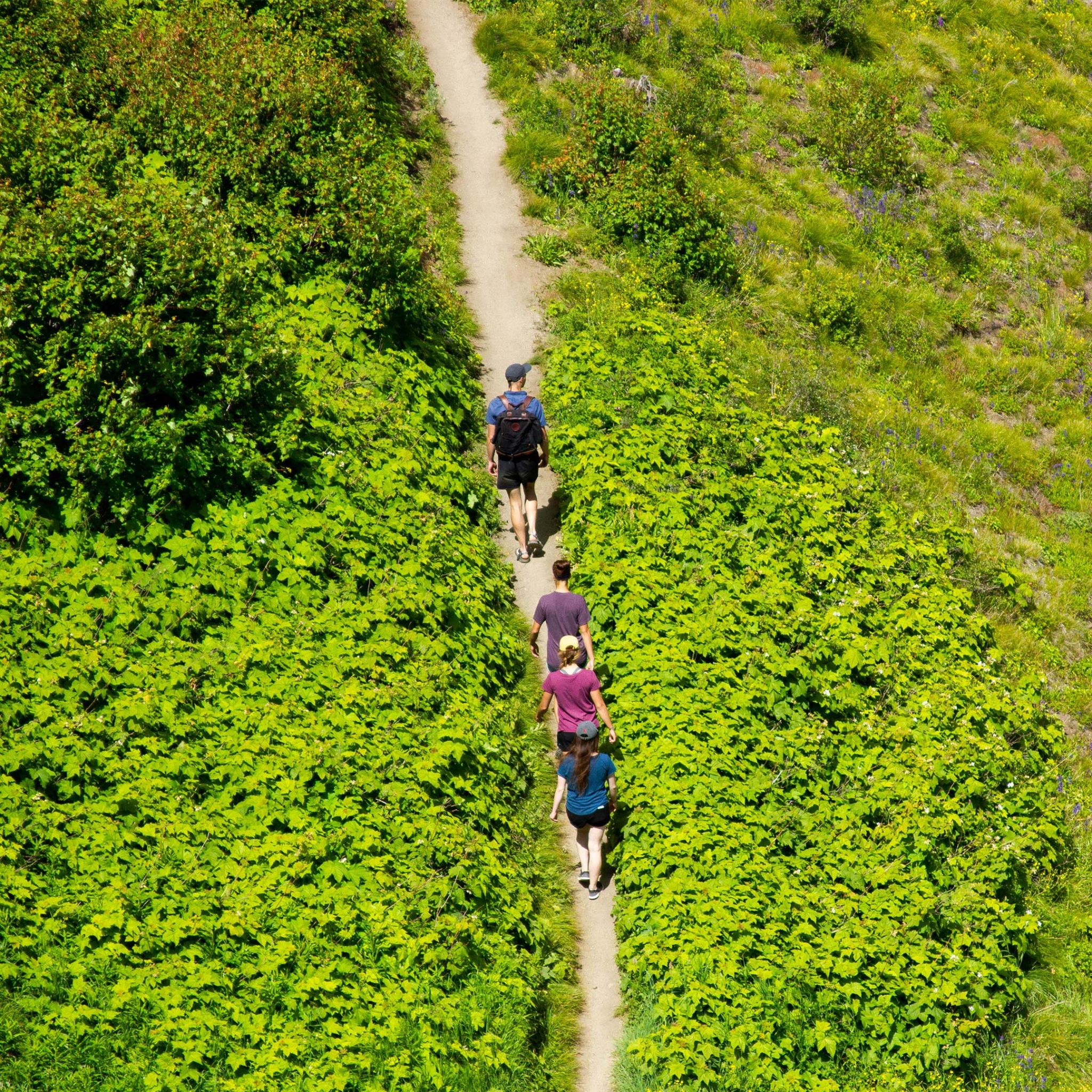 Things to Do | Bogus Basin