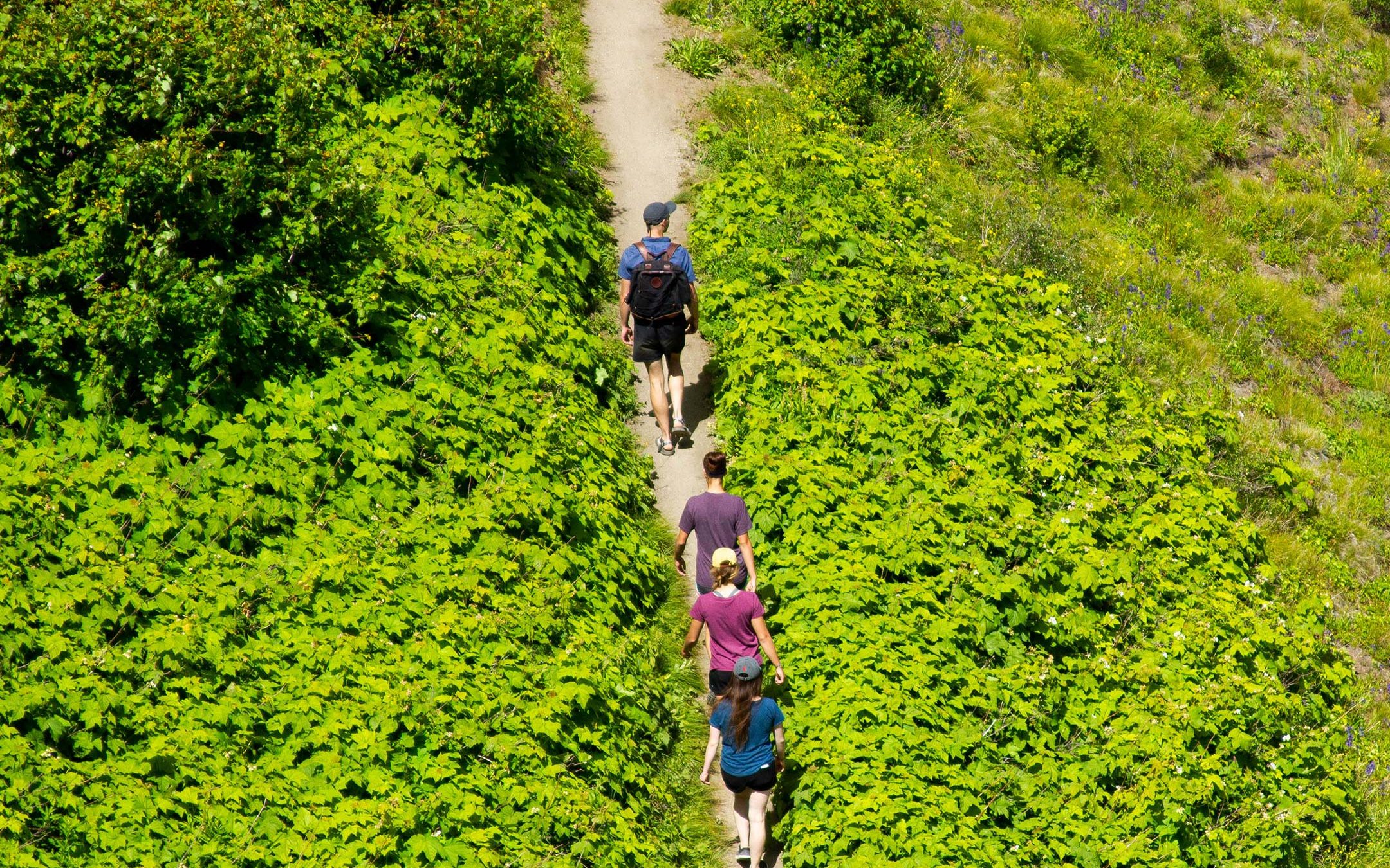 Hiking Trails | Bogus Basin