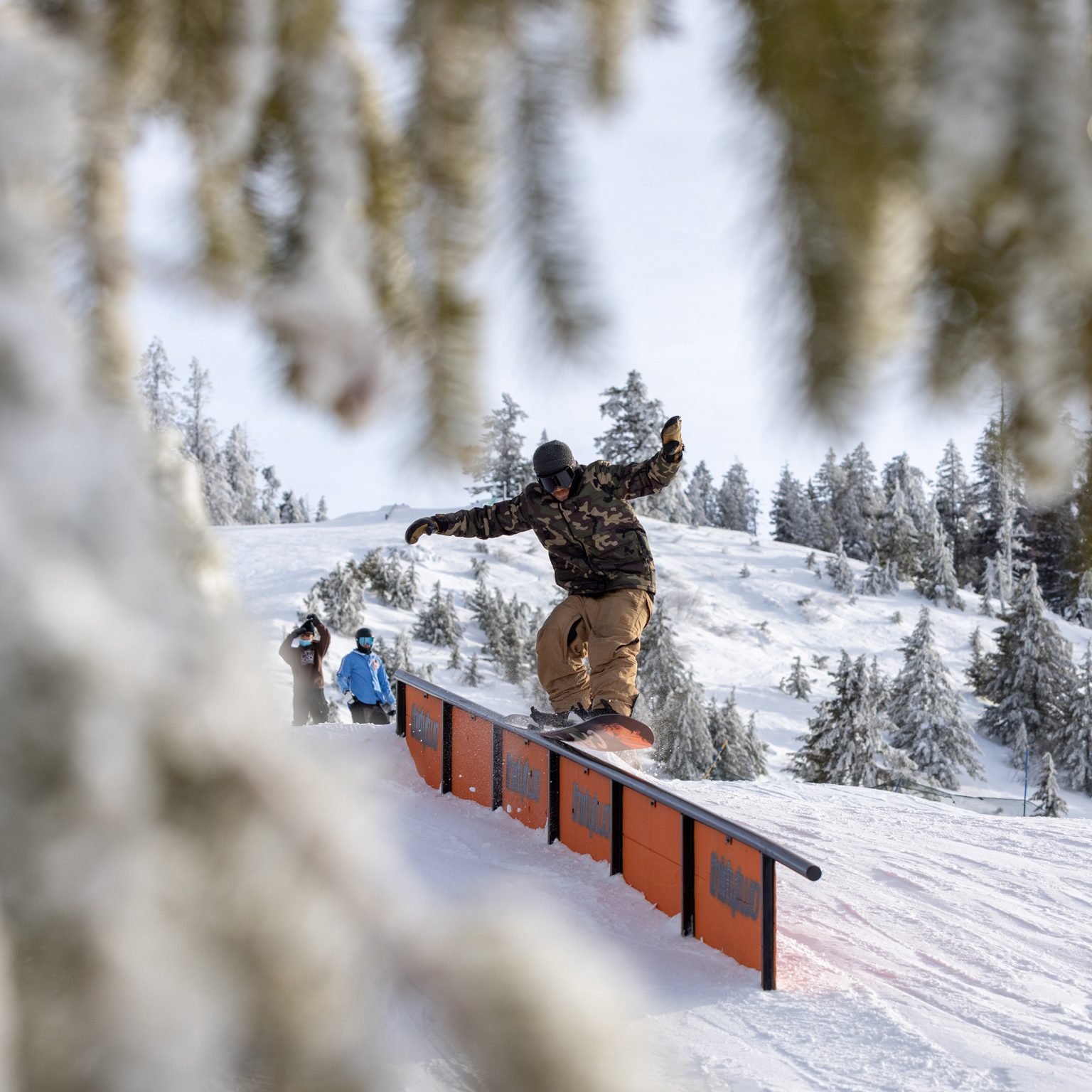 Things to Do | Bogus Basin