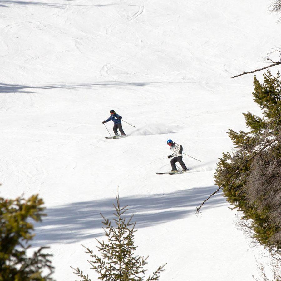 Alpine Lessons | Bogus Basin
