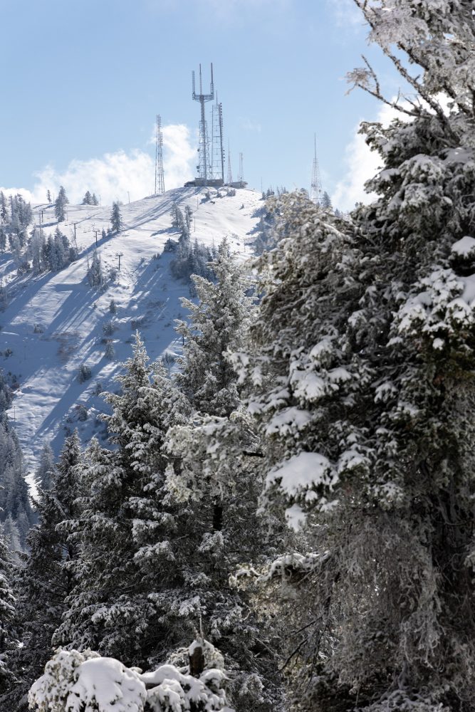 80th Anniversary Soft Opening | Bogus Basin
