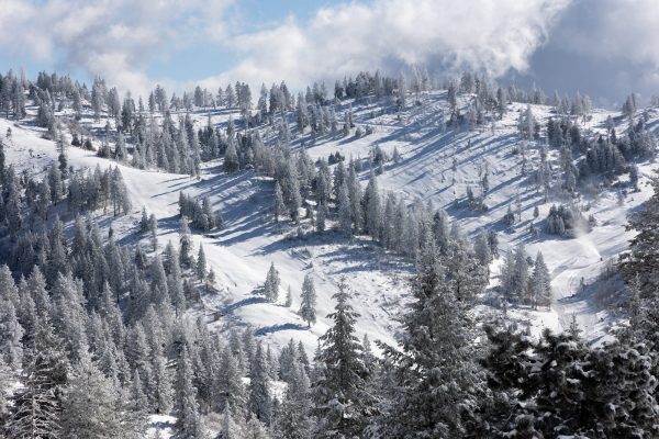 80th Anniversary Soft Opening | Bogus Basin