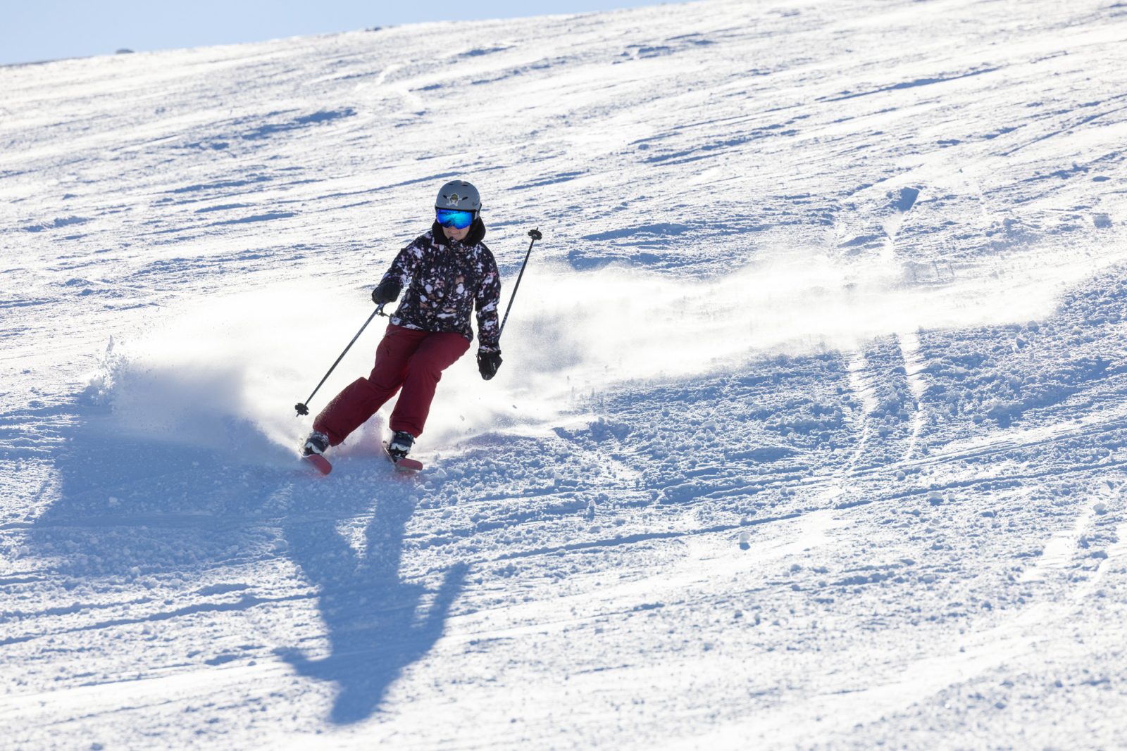 Now OPEN Daily | Bogus Basin