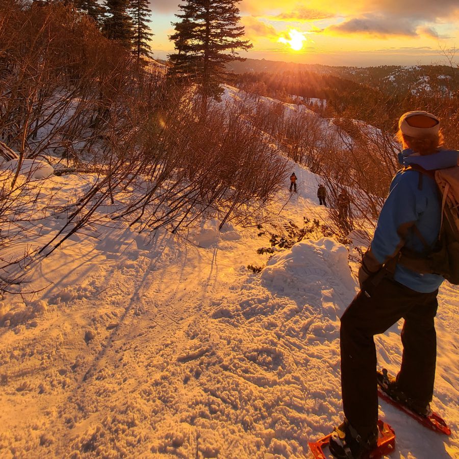 Bogus Basin | Idaho Mountain Recreation Area and Ski Resort