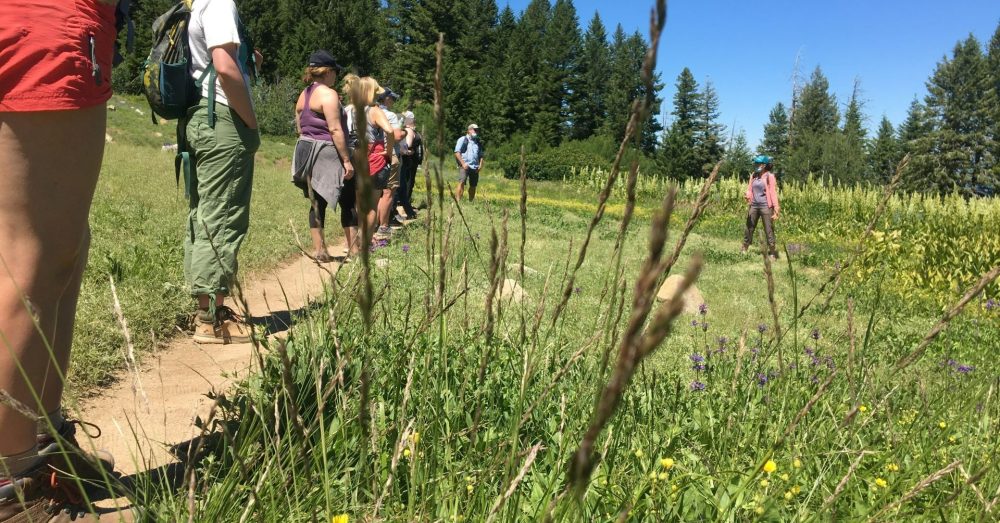 Natural Gourmet | Guided Nature Program