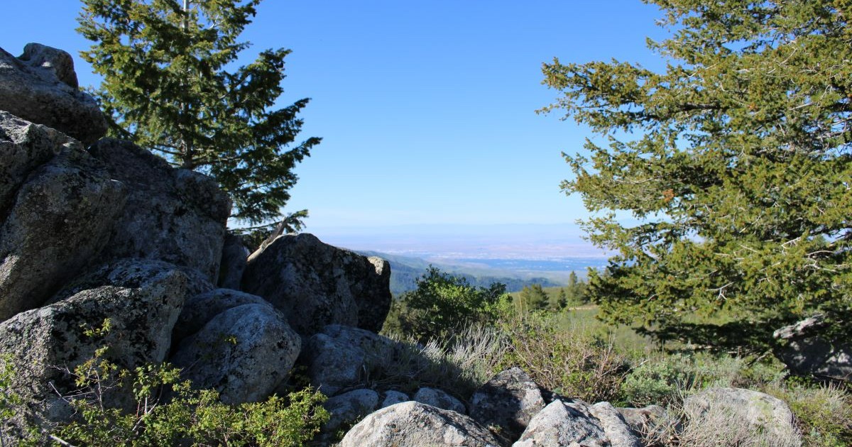 Nature Photography | Guided Nature Program