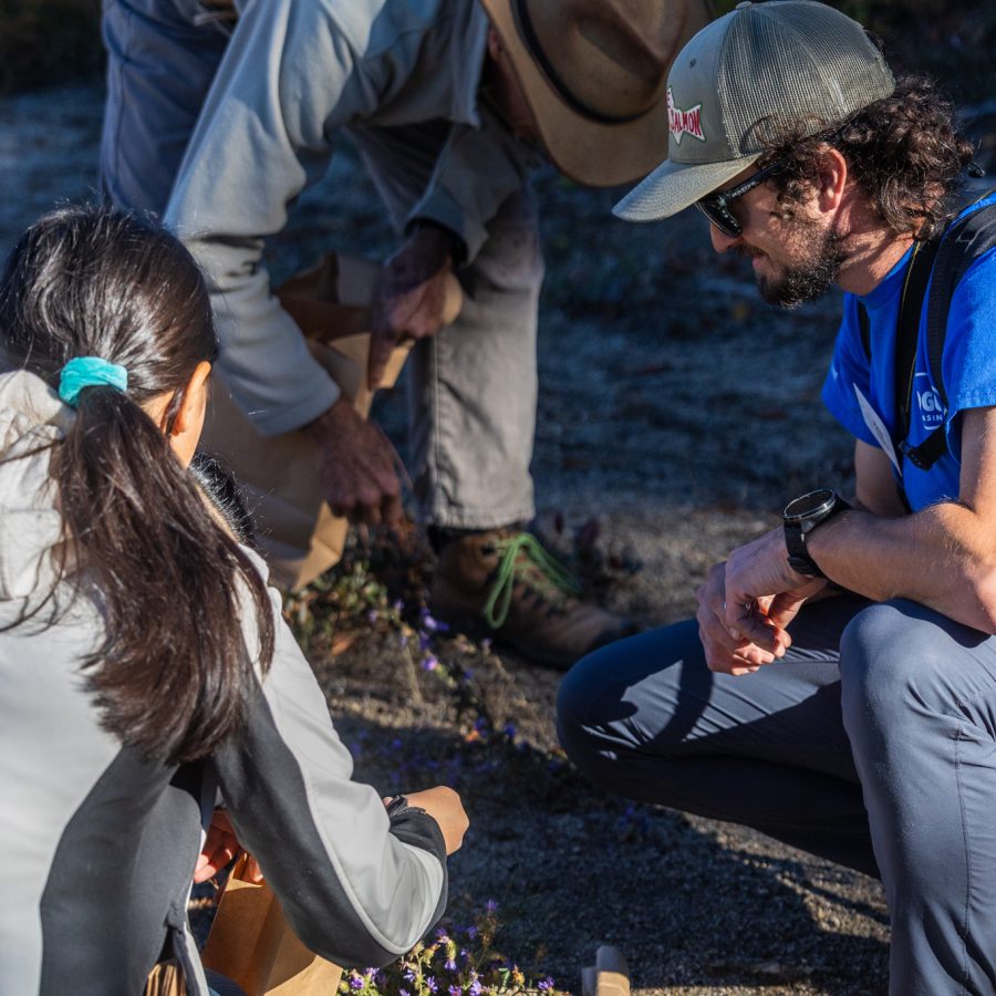 Sustainable Forest | Seed Collection Summer 2023 | Bogus Basin