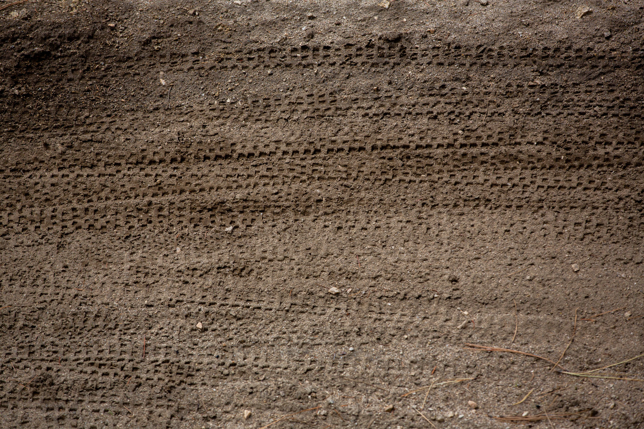 Maps & Statistics | Bogus Basin