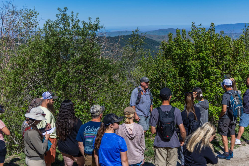 Summer 2024 at Bogus Basin | Bogus Basin