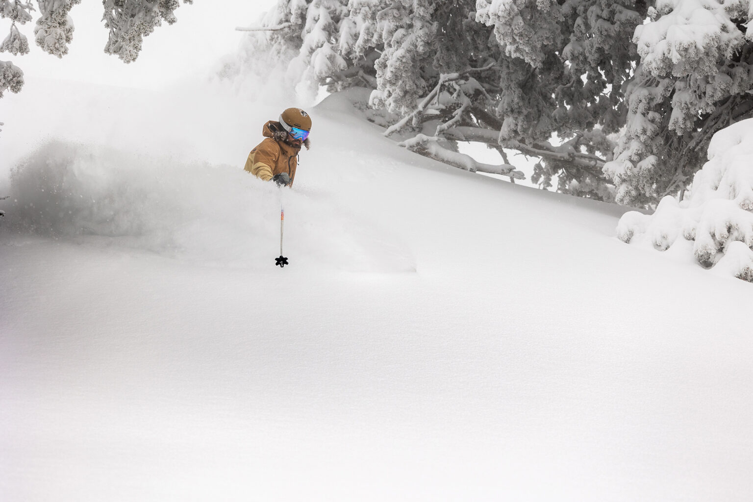 2025/26 Season Pass Guide | Bogus Basin