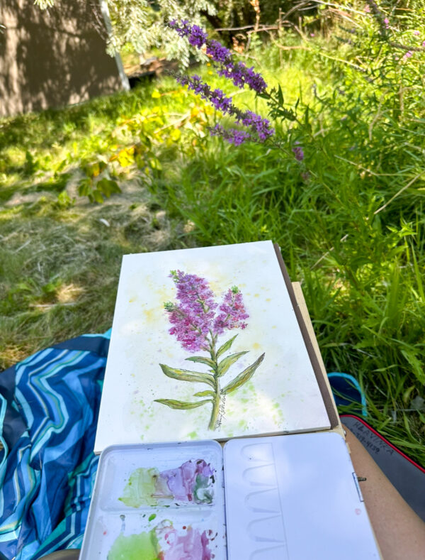 Nature Art Workshop: Intro to Nature Drawing | Bogus Basin