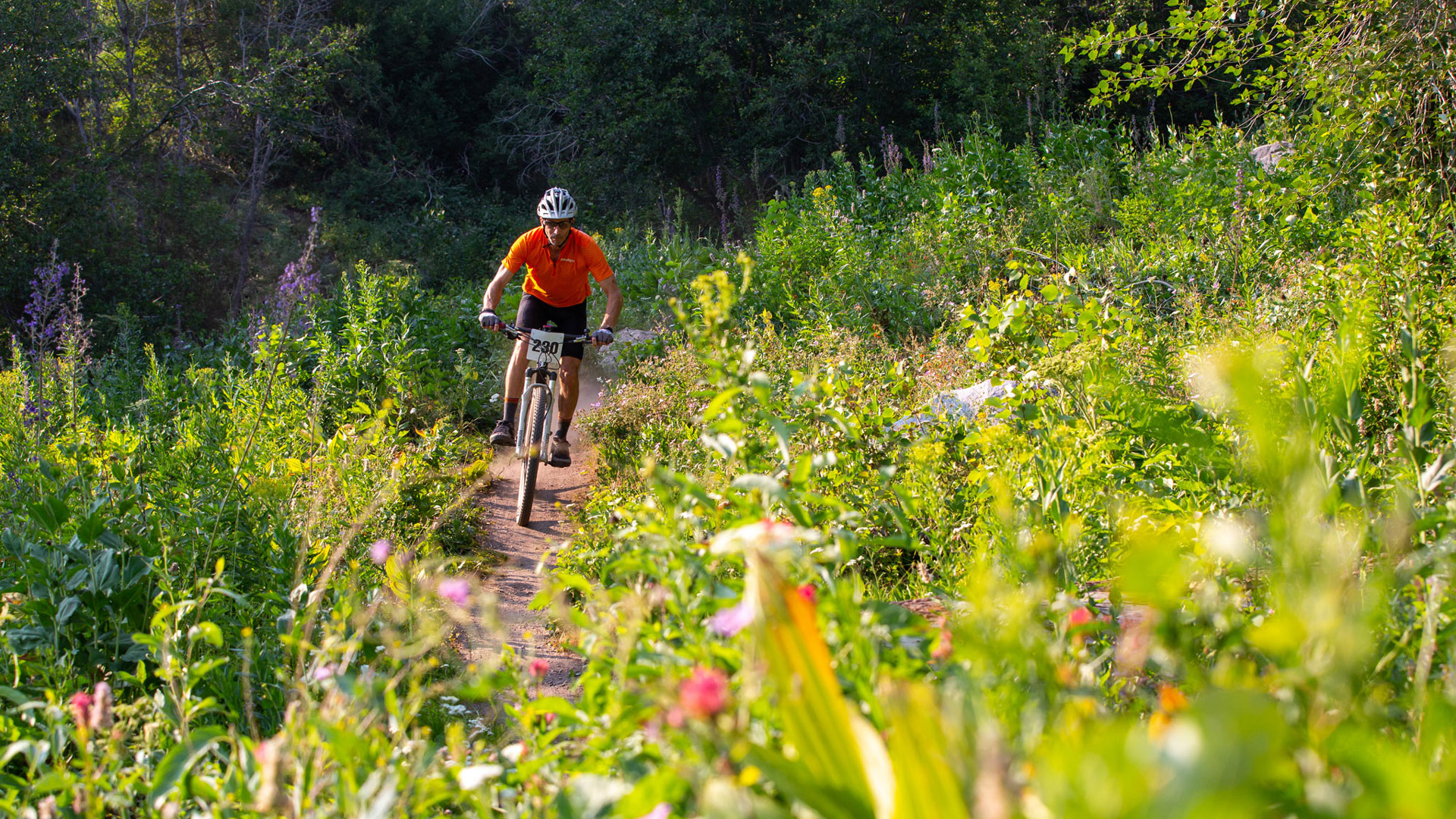 Summer Outdoor Activities | Bogus Basin