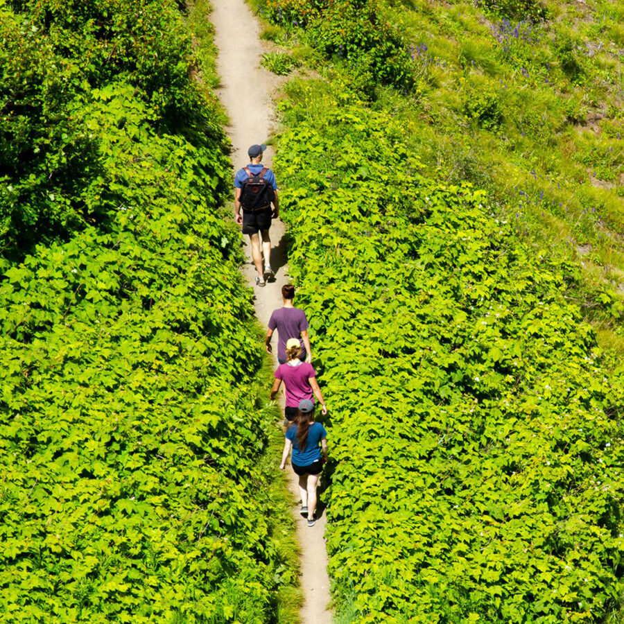 Summer Tickets | Bogus Basin