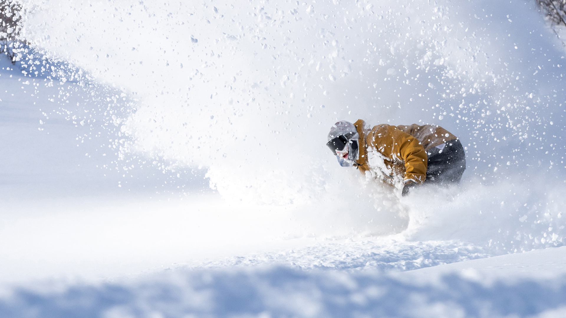 Season Passes | Bogus Basin